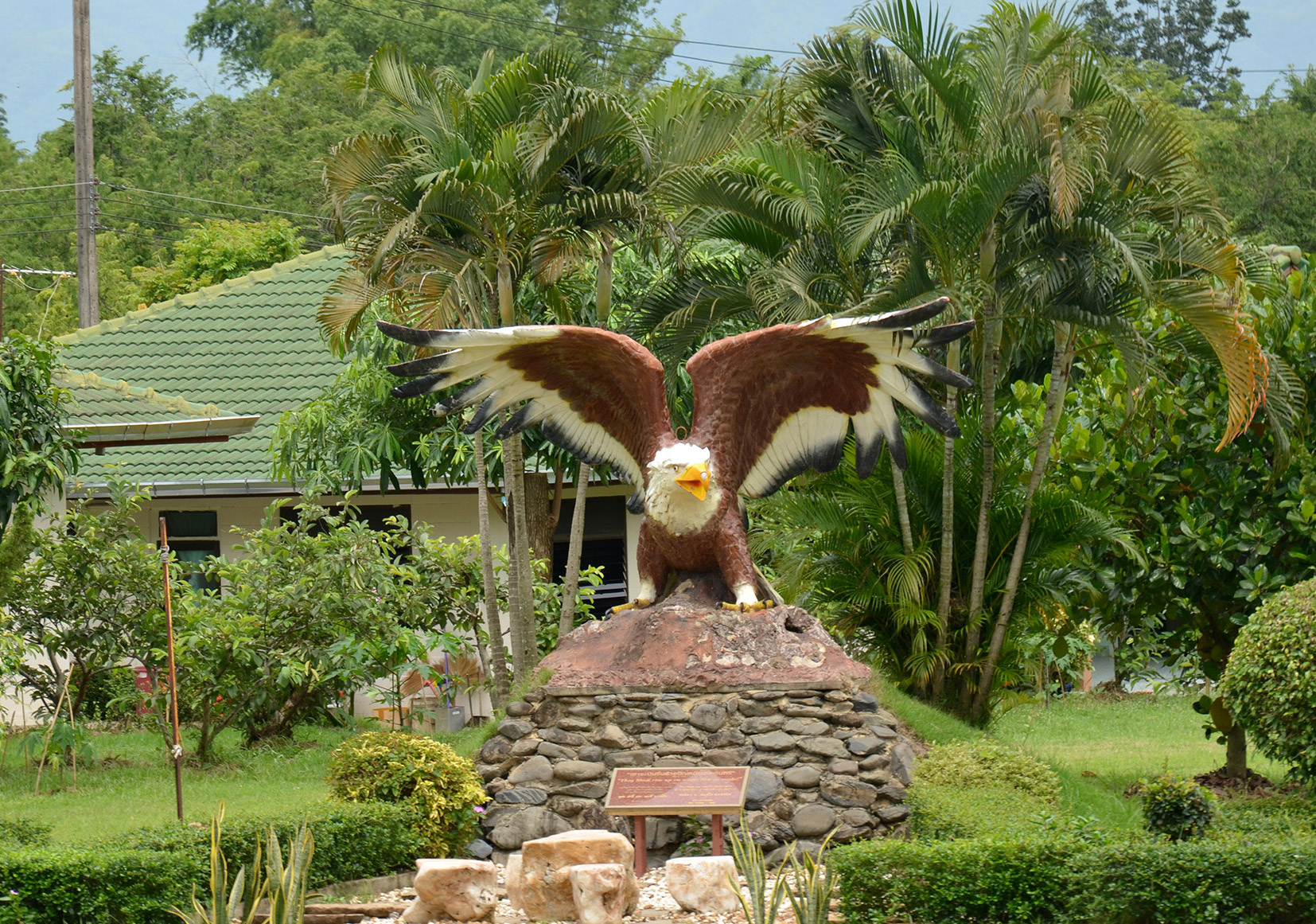 Annual Reports - Mercy International